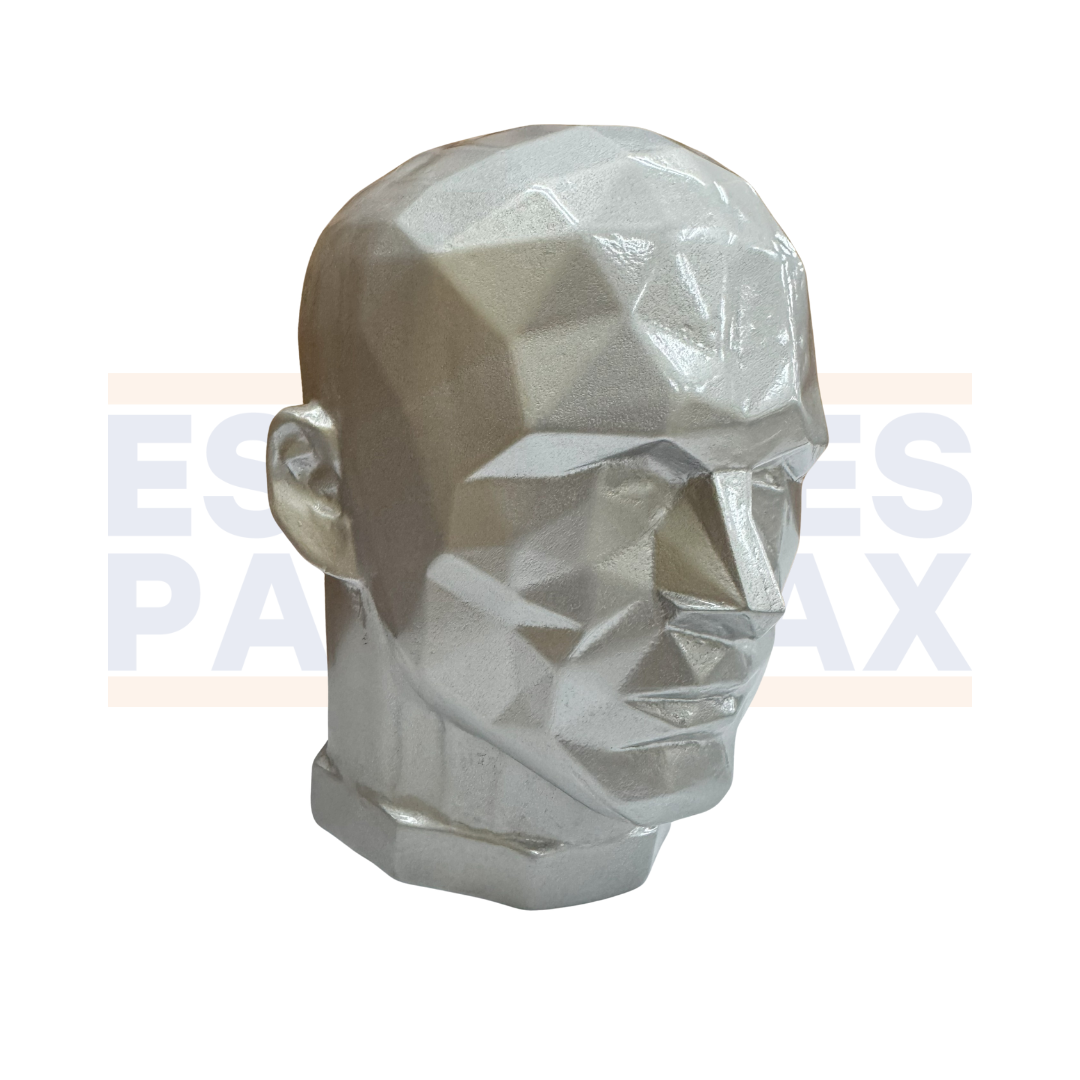 Maniquí de Cabeza Hombre con Relieve Color Gris PMX-1299 – Estantes Panamax